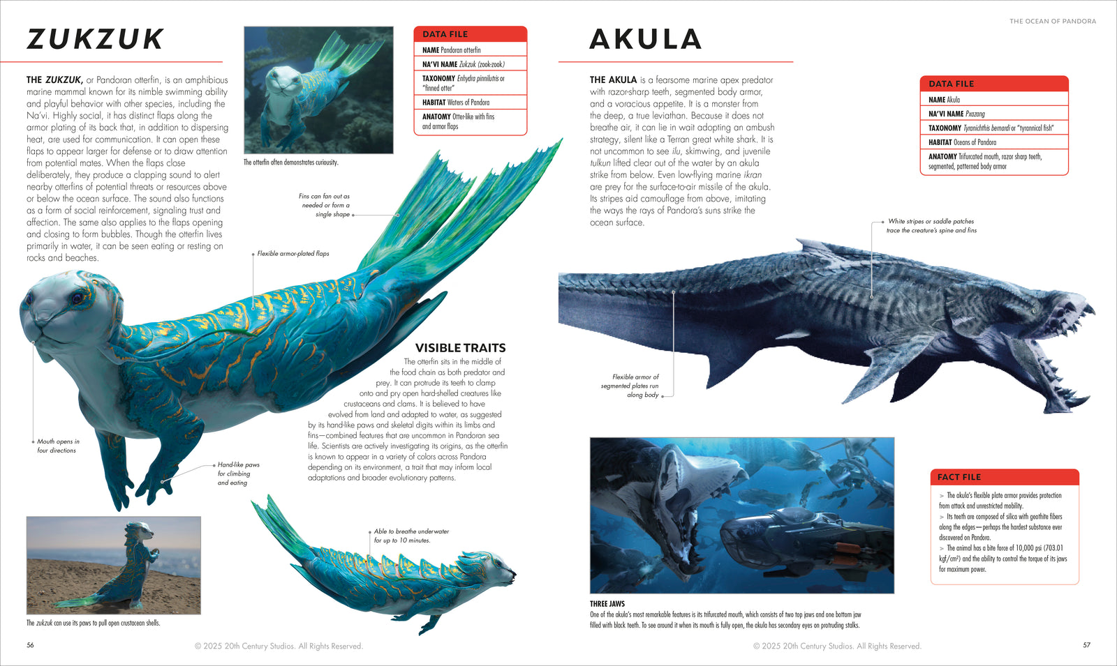Avatar Fire and Ash The Visual Dictionary – DK