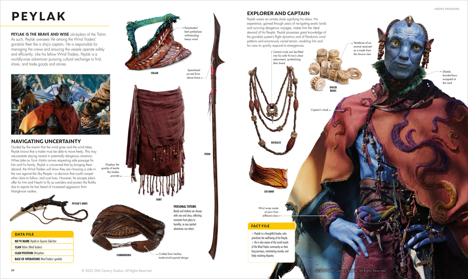 Avatar Fire and Ash The Visual Dictionary – DK