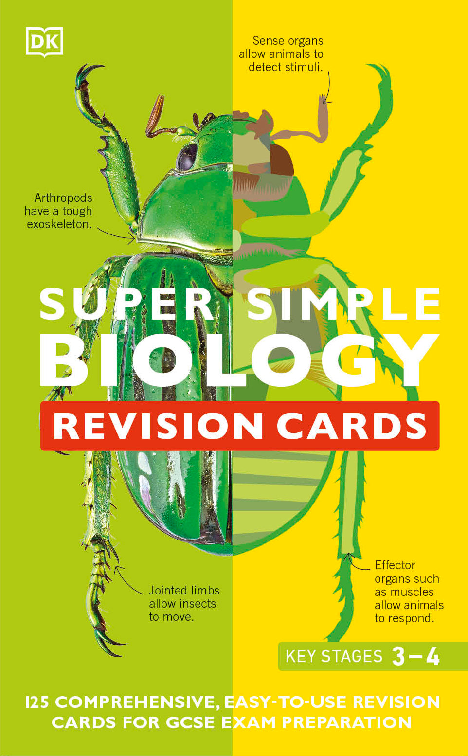 Super Simple Biology Revision Cards Key Stages 3 and 4 – DK
