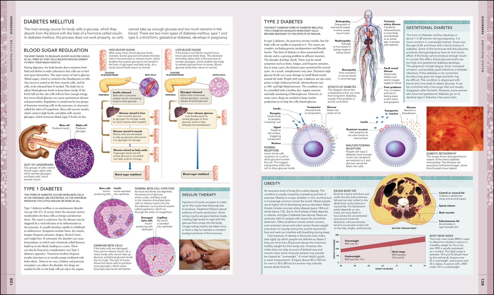The Human Body Book – DK