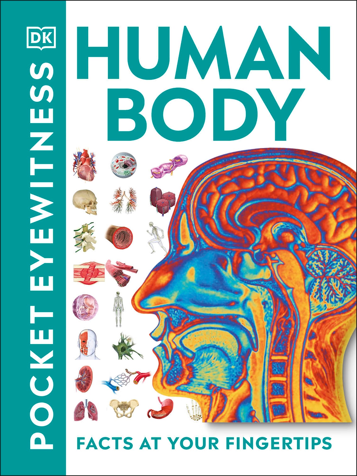 Pocket Eyewitness Human Body – DK